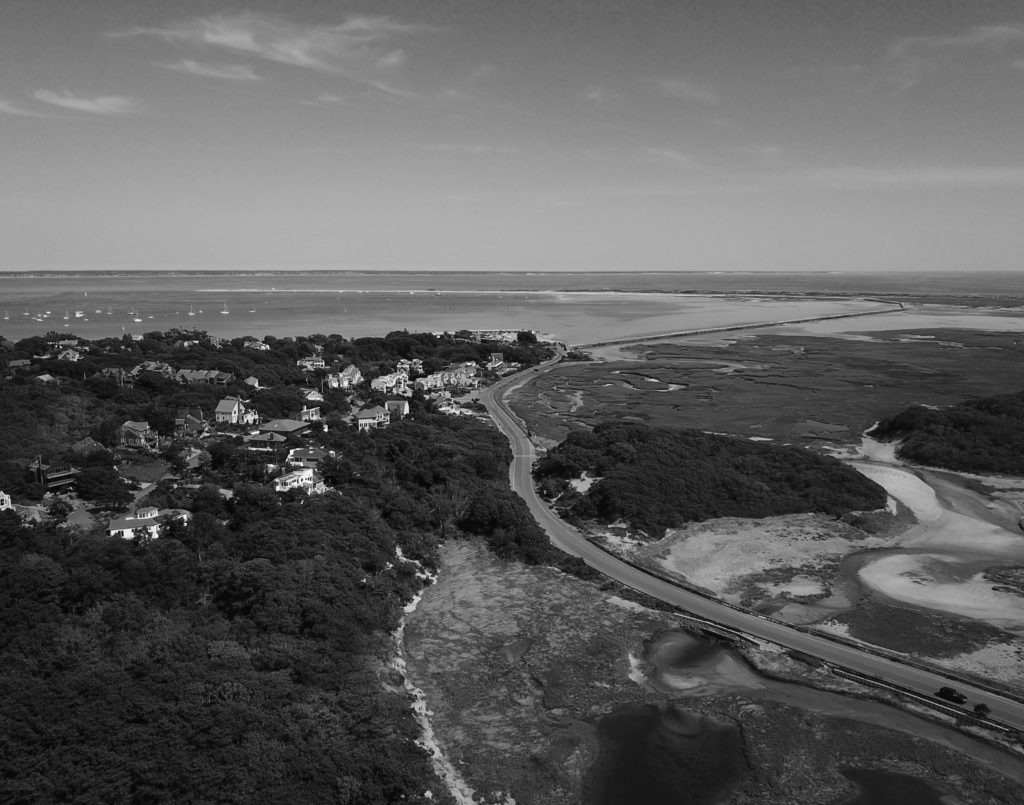 Metrc Massachusetts Official Cannabis Tracking & Compliance