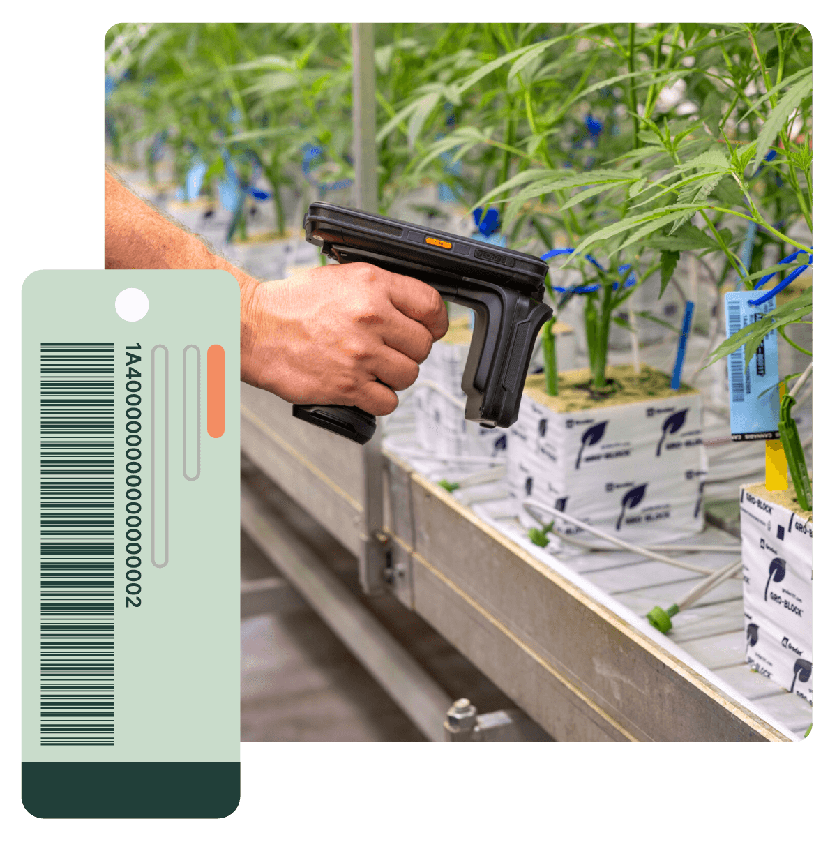 The RFID Difference | Metrc's Track & Trace Technology