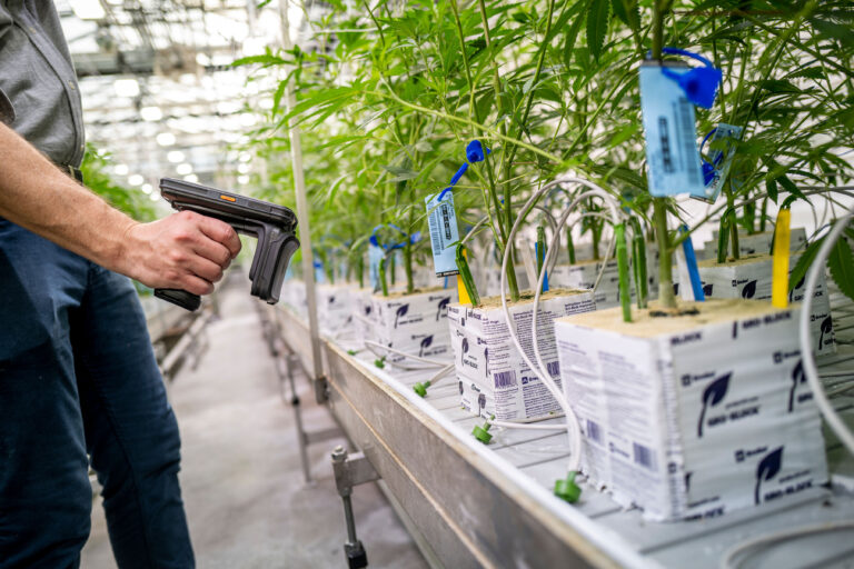 The Latest in Cannabis Compliance | Metrc Blog