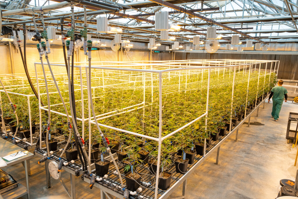 Metrc Cannabis Compliance & RFID Tech Resources